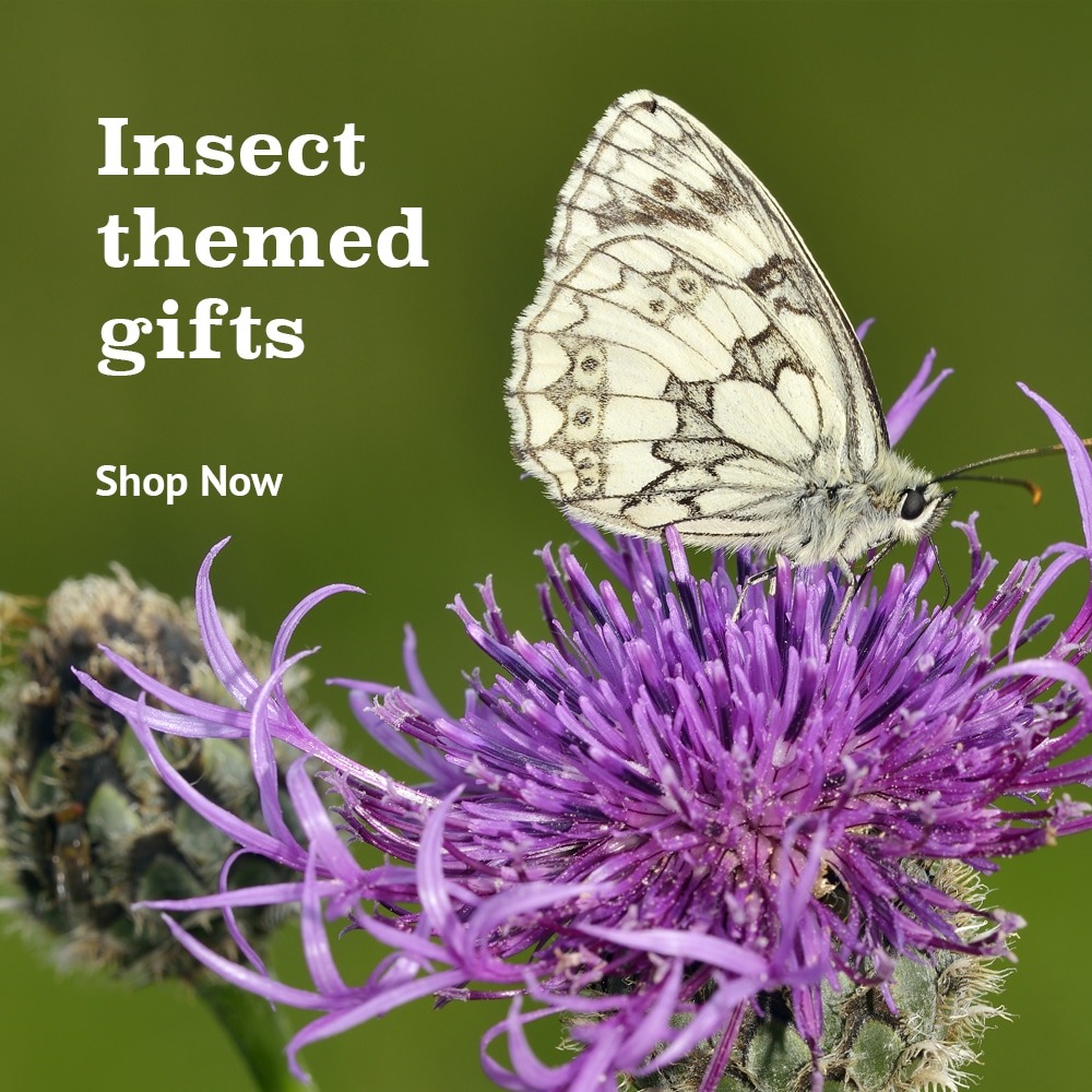 Bee Eater Gifts | Wildlife and nature themed gift shop in North Yorkshire