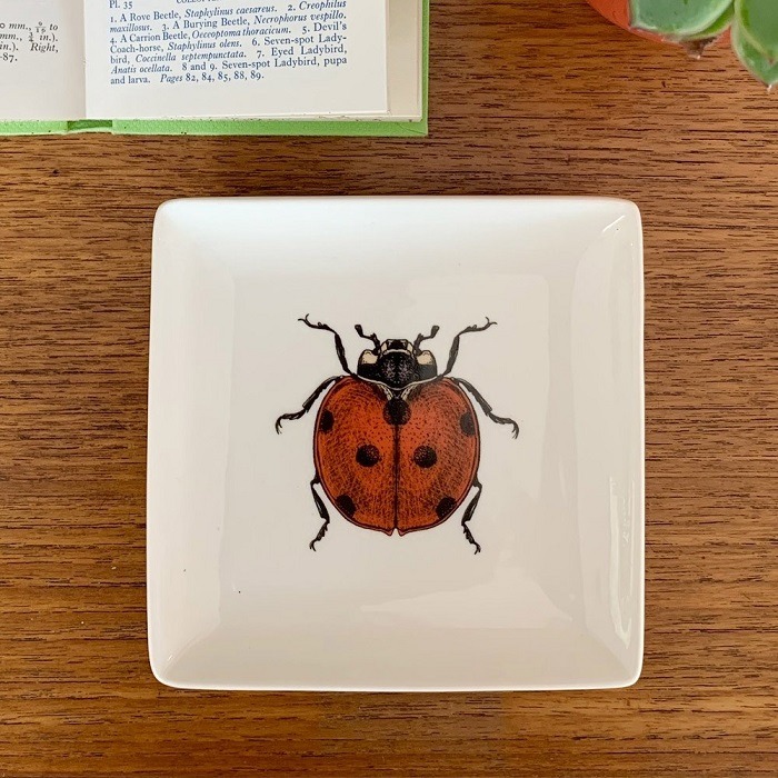 Ladybug Trinket Tray - Curios Collection by Magpie - Bee Eater Gifts